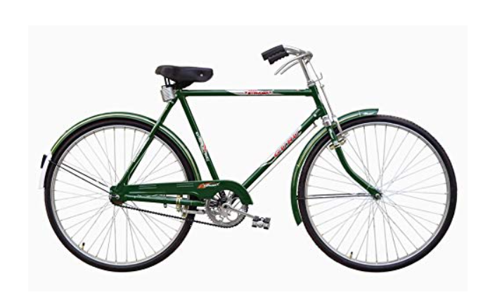 2025 Stryder Guru DX 22 – Heavy Duty Classic Roadster Bike